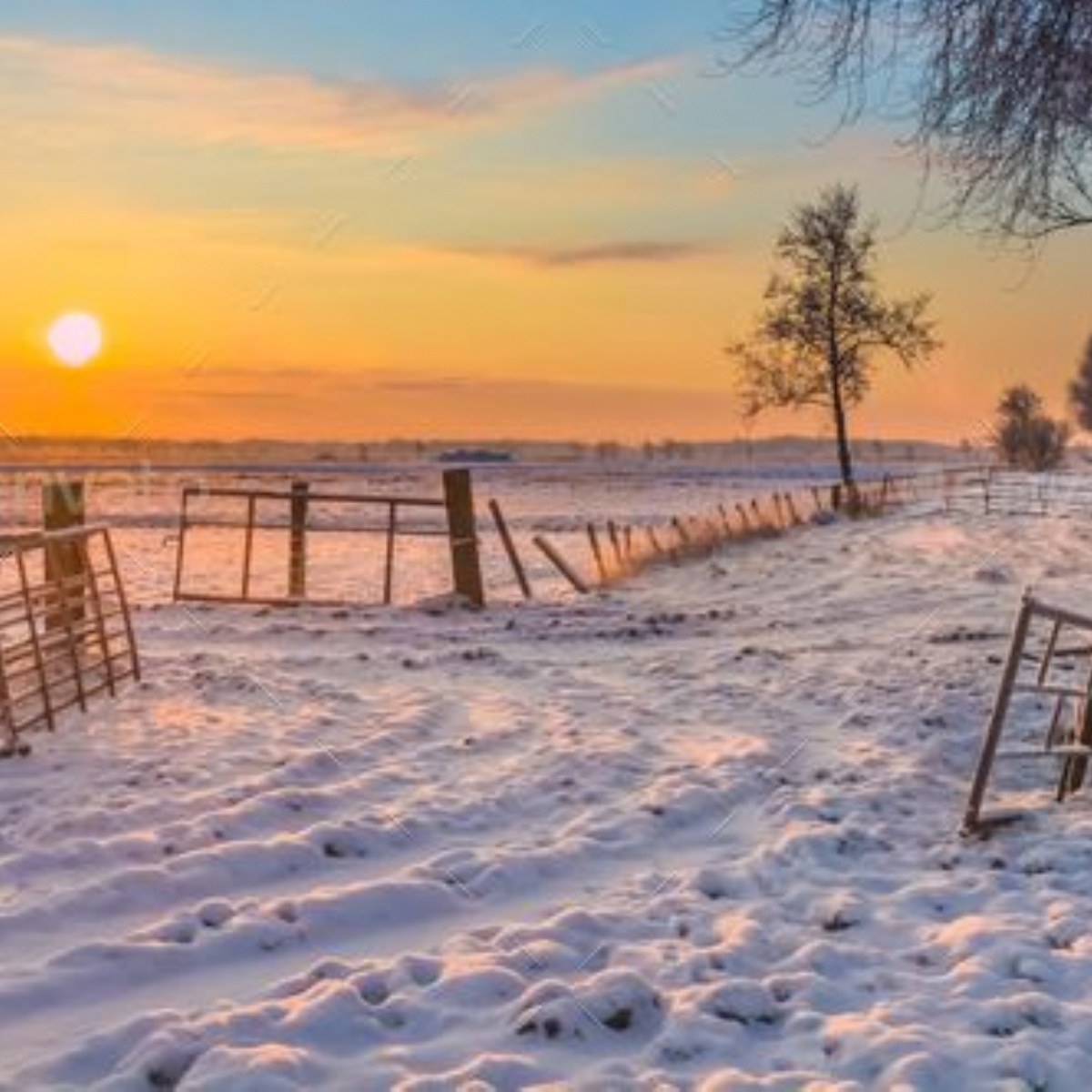 Federation of West Leigh Infant School and Backwell C of E Junior ...